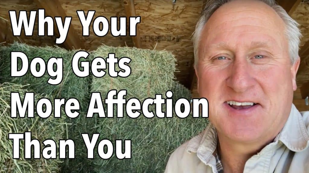 How to Jump Start Your Mojo and Start Creating More Connection ...